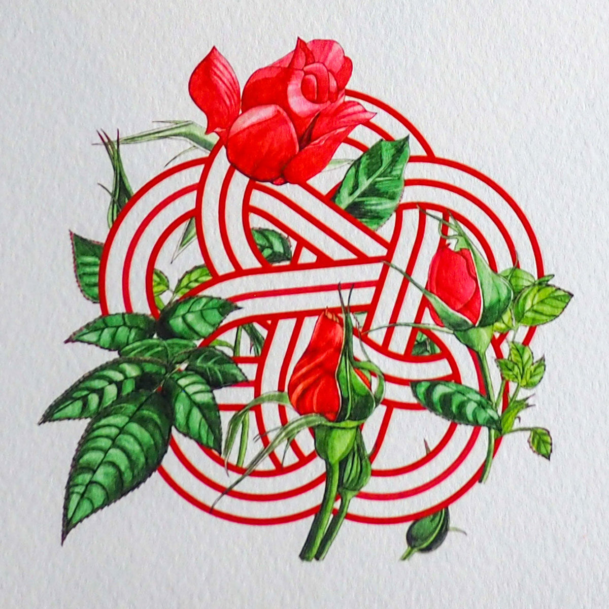 Envelopes and cards UME-MUSUBI – Harukan Design